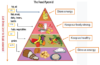 Food pyramid paragraph - Online Open Academy